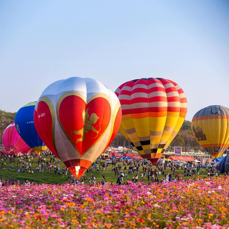 Singha Park Balloon Fiesta 2024 14 – 18 ก.พ. 2567 : Toyota Club